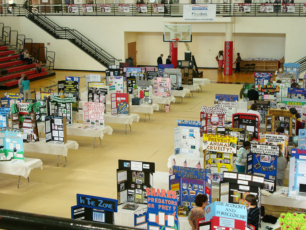 2010 Social Studies Fair Photo Gallery
