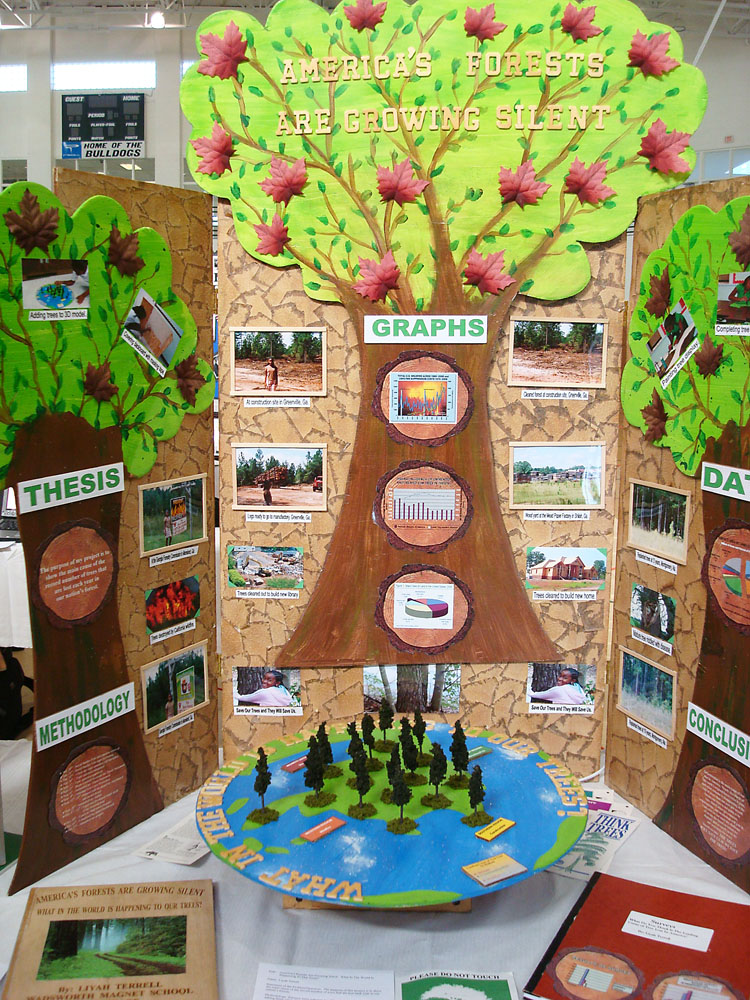 2010 Social Studies Fair Photo Gallery